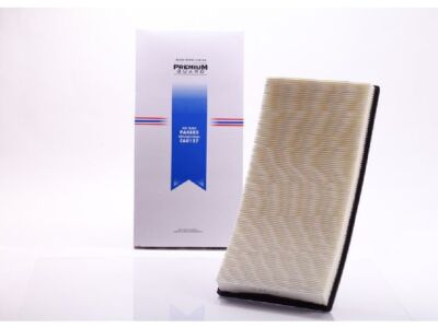 Pronto Air Filter fits Workhorse W22 2001-2009 8.1L V8 57JJMK | eBay