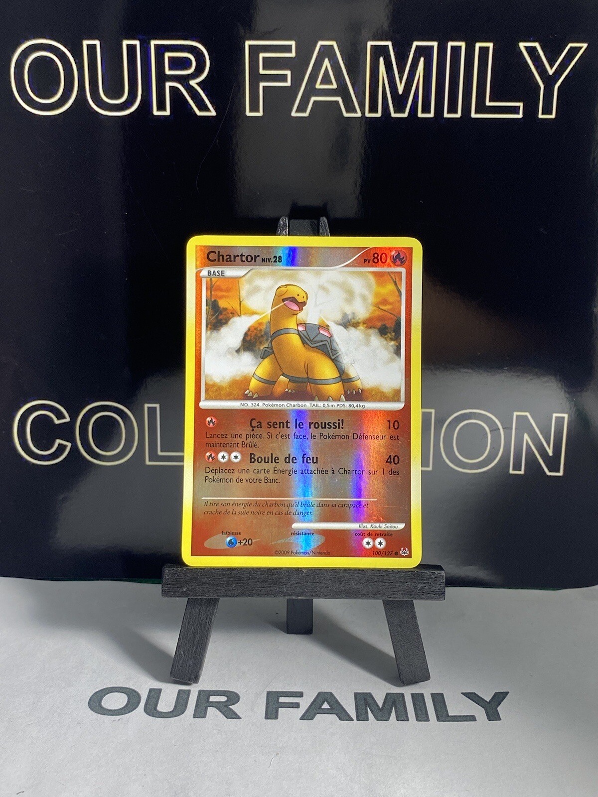 Pokemon Chartor ( Torkoal ) Card 100/127 French Platinum | eBay