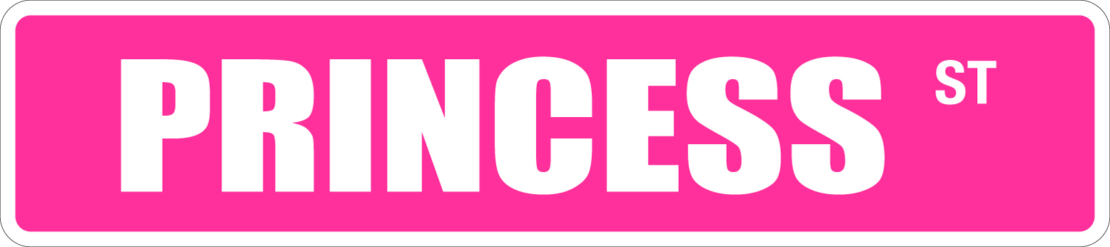 *Aluminum* Princess 4" x 18" Metal Novelty Street Sign SS 2940 | eBay