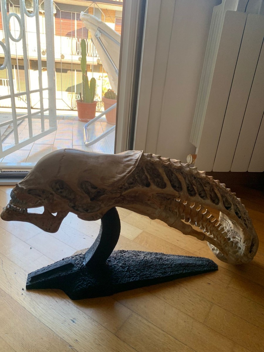 Xenomorph Skeleton Human Skull Alien T Shirt: Alien Mens T Shirt