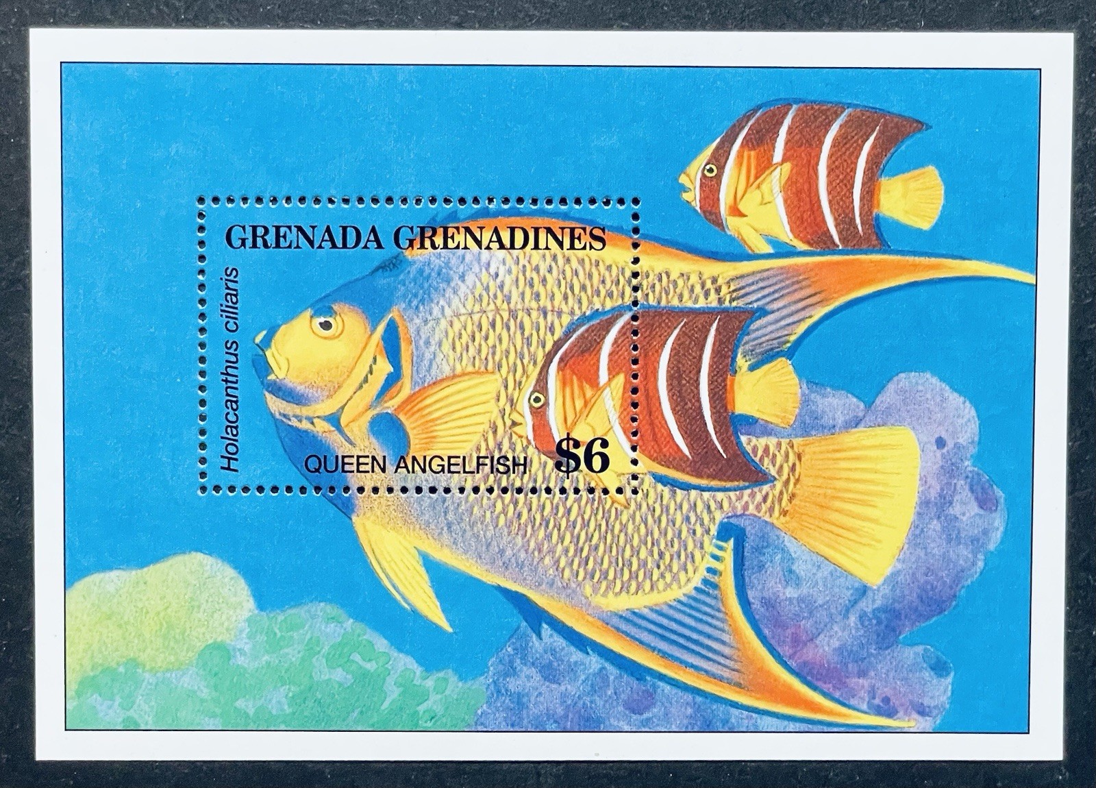 GRENADA GREN FISH STAMPS SHEET SS MNH 1994 QUEEN ANGELFISH MARINE LIFE ...
