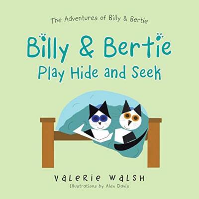 Billy & Bertie Play Hide and Seek 9781496991331| eBay