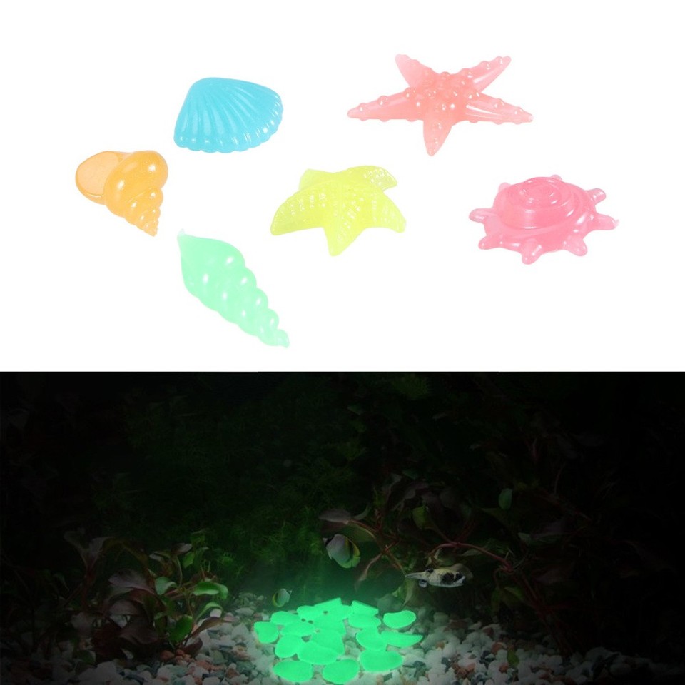 50pcs Shell Conch Mixed Color Conch Shell Crafts for Aquarium Fish Tank ...