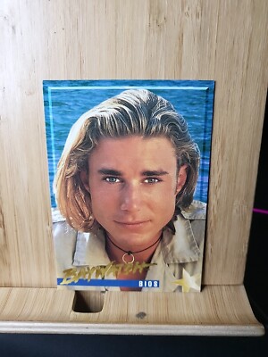 Baywatch 1995🏆 Sports Time Inc. Base Card #20 🏆FREE POST | eBay Australia