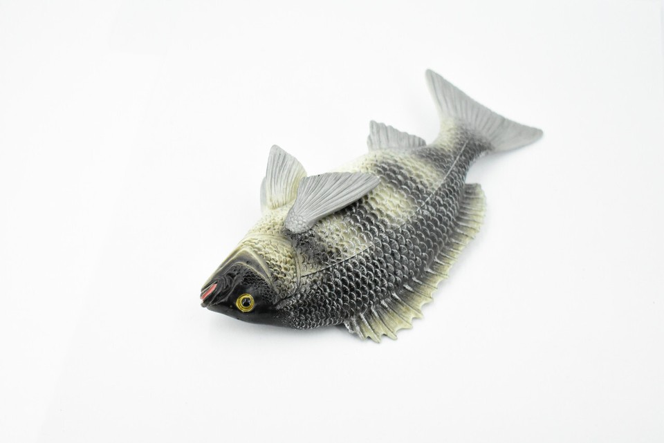 Fish, Tilapia, Nile Perch, Realistic Toy Figure, Model, Replica, 7 ...