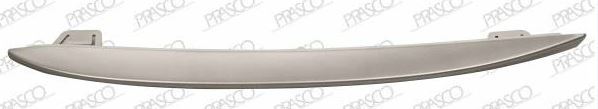 GRIGLIA ANTERIORE DESTRO FENDER 51117200700 | eBay