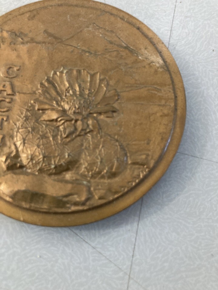 Très Belle Médaille Bronze Les Cactus Art Daniel David Monnaie De Paris ...