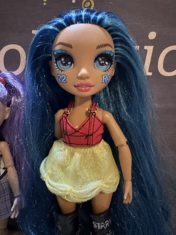 Rainbow High Cheer Skyler Bradshaw Daphne Minton Jr. violet Willow Doll ...