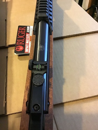 Ruger+Impact+Max+Elite+.22+Cal+Air+Rifle for sale online | eBay