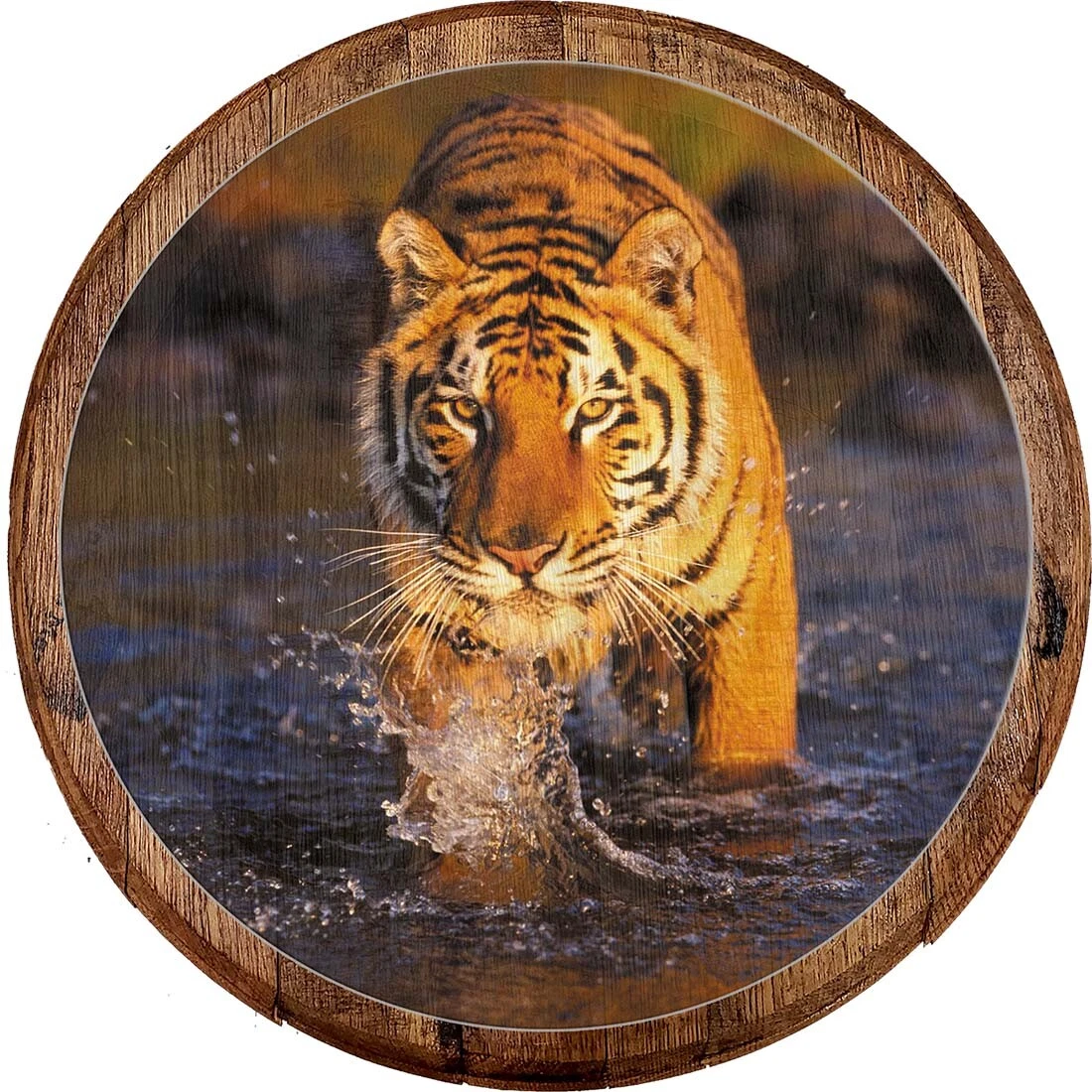 Stalking Tiger Man
