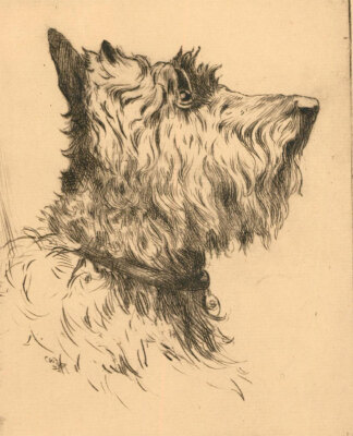 Herbert Cutner (1881-1969) - Mid 20th Century Etching, Portrait of ...