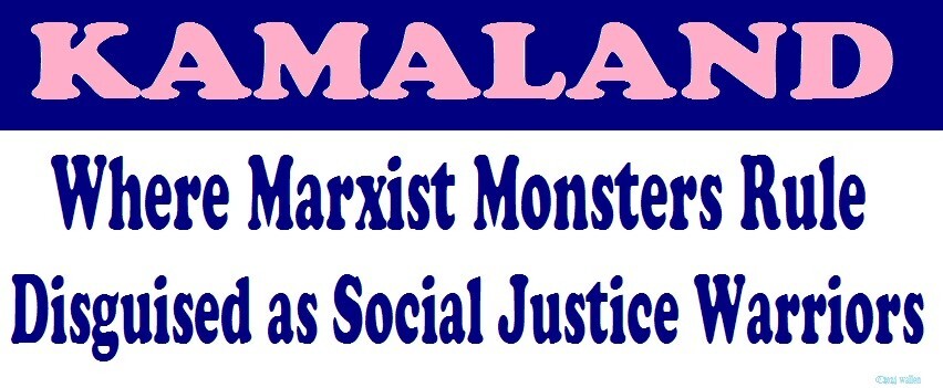 GOP Anti Kamala Harris Political Bumper Sticker Kamaland | eBay