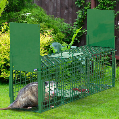 Folding Large Live Animal Cage Trap for Raccoon Traps Heavy Duty Humane ...