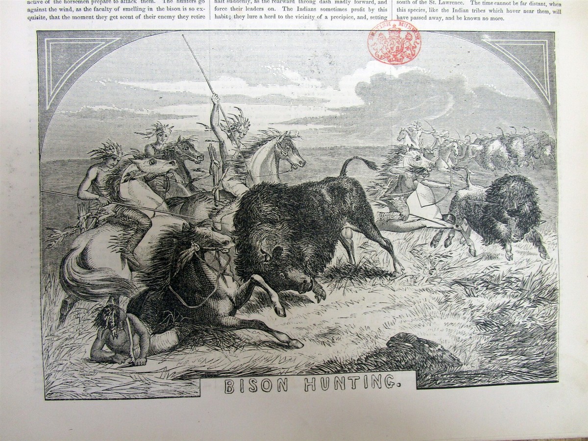 Native American Indians Hunting