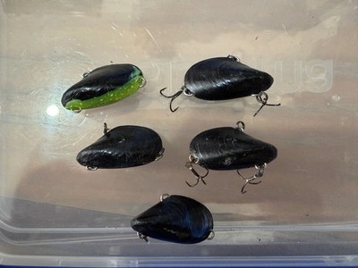 5x Outback Breamer Baits Heavy The Muss Mussel Fishing Lures | eBay ...