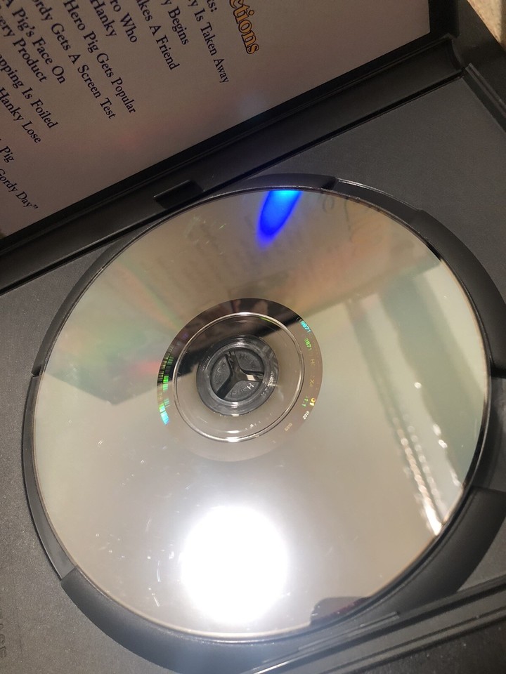 Disney Gordy DVD The Talking Pig That Made It Big Family Movie 2002 ...