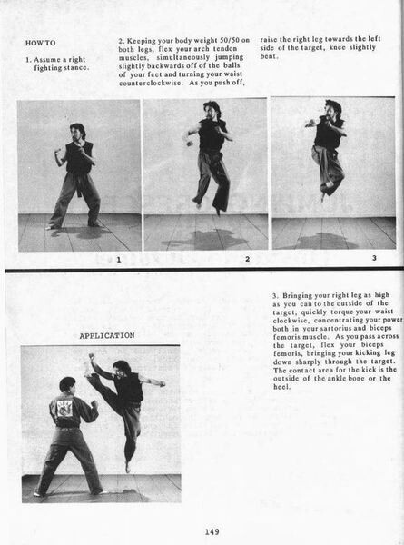 Complete Master's Jumping Kick by Hee Il Cho (1990, Trade Paperback ...