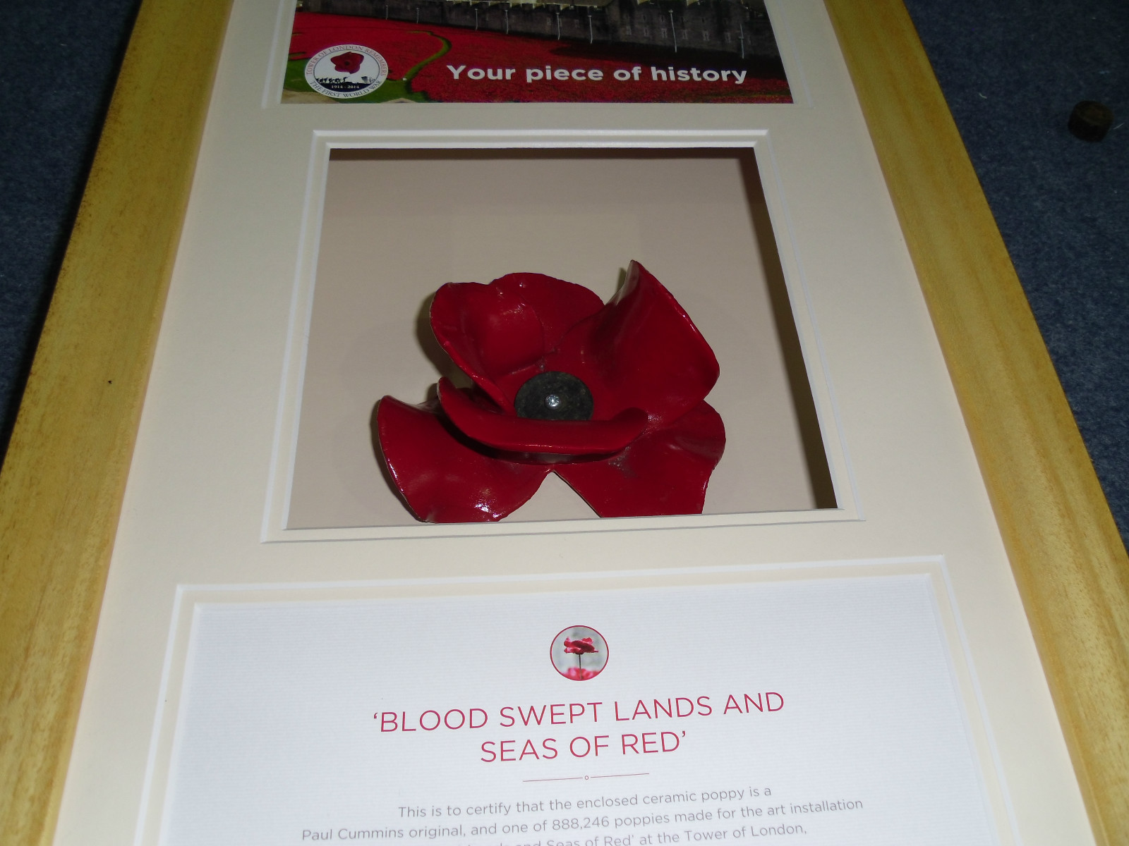 POPPY DISPLAY FRAME FOR TOWER OF LONDON WW1 CERAMIC POPPY | eBay UK