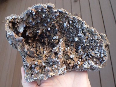Botryoidal Fossil Coral Geode Chunk GA Specimen Collection Ocean ...