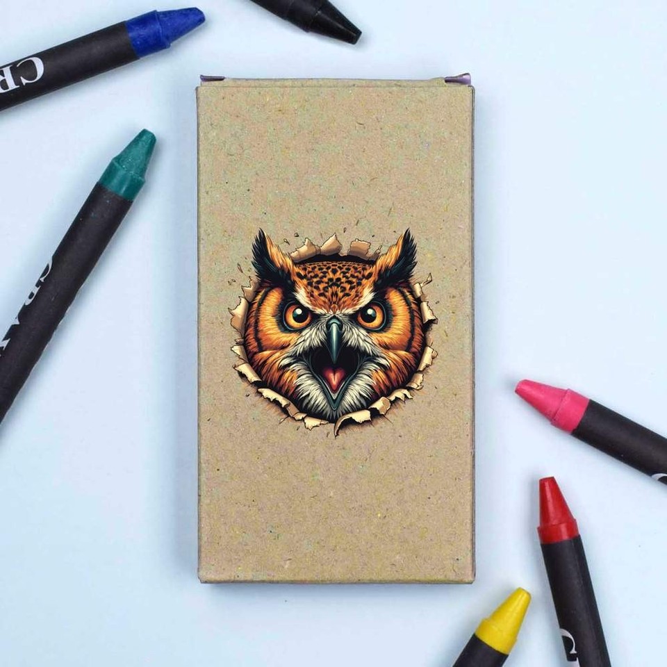 'Angry Owl Breakout' Coloured Crayon Set (CY00039934) | eBay UK