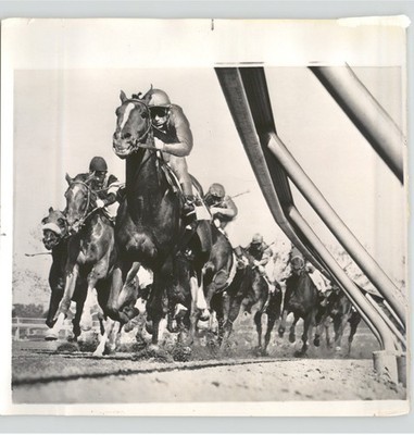 Race Horse ALLIE S., Jockey Willie Shoemaker Aqueduct Track NY 1959 ...