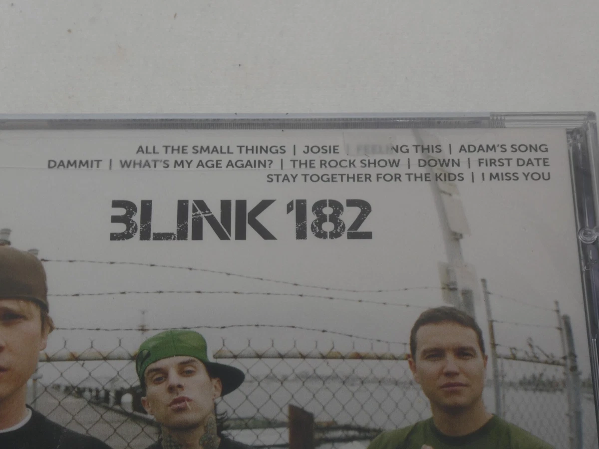 Blink 182 Icon Album Cover