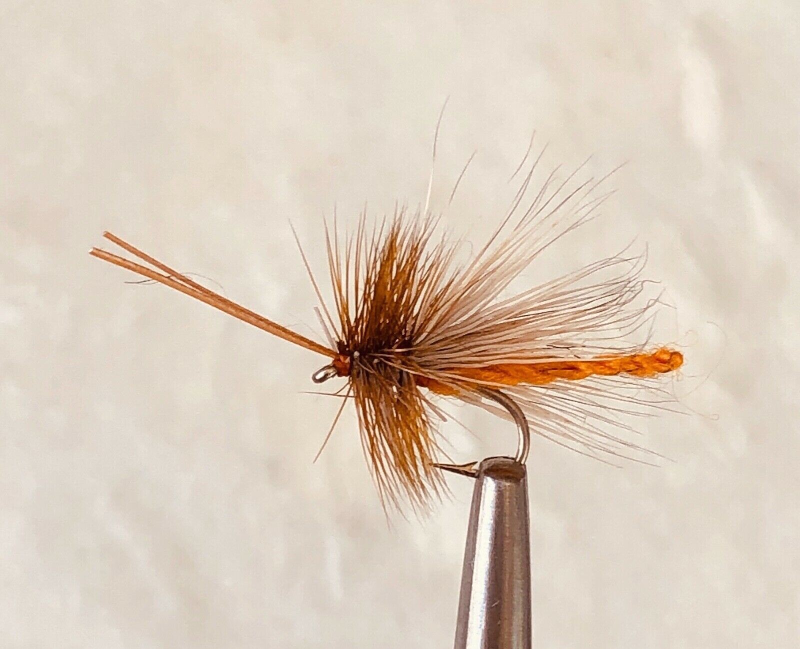FLUTTERING STONEFLY - ORANGE - DRY FLY FISHING FLIES - 12 X SIZE #14 | eBay