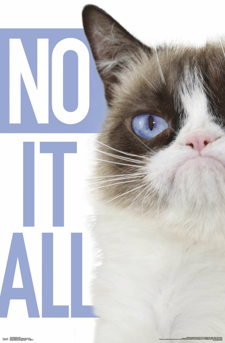Grumpy Cat Nope Wallpaper The Official Grumpy Cat #GrumpyCat