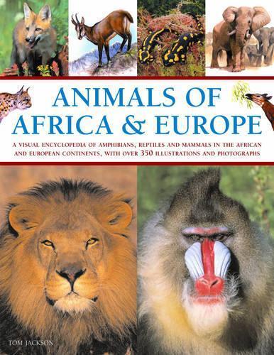 Tom Jackson Michael Chinery Animals of Africa and Europe (Paperback ...