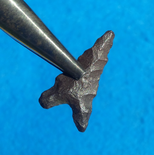 1" BUCHANAN EARED CALIFORNIA ARROWHEAD AUTHENTIC ARROWHEAD PROJECTILE ...