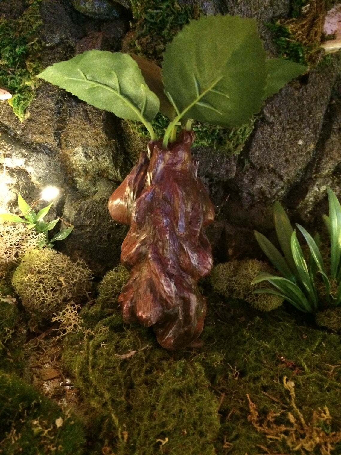 Mandrake Plant Seedling - Adorable Magical Root In A Small Terracotta ...