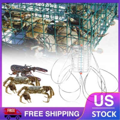 3Pcs Portable Crab Lobster Crayfish Snare Trap Cage Pot Pier Kayak Fish ...