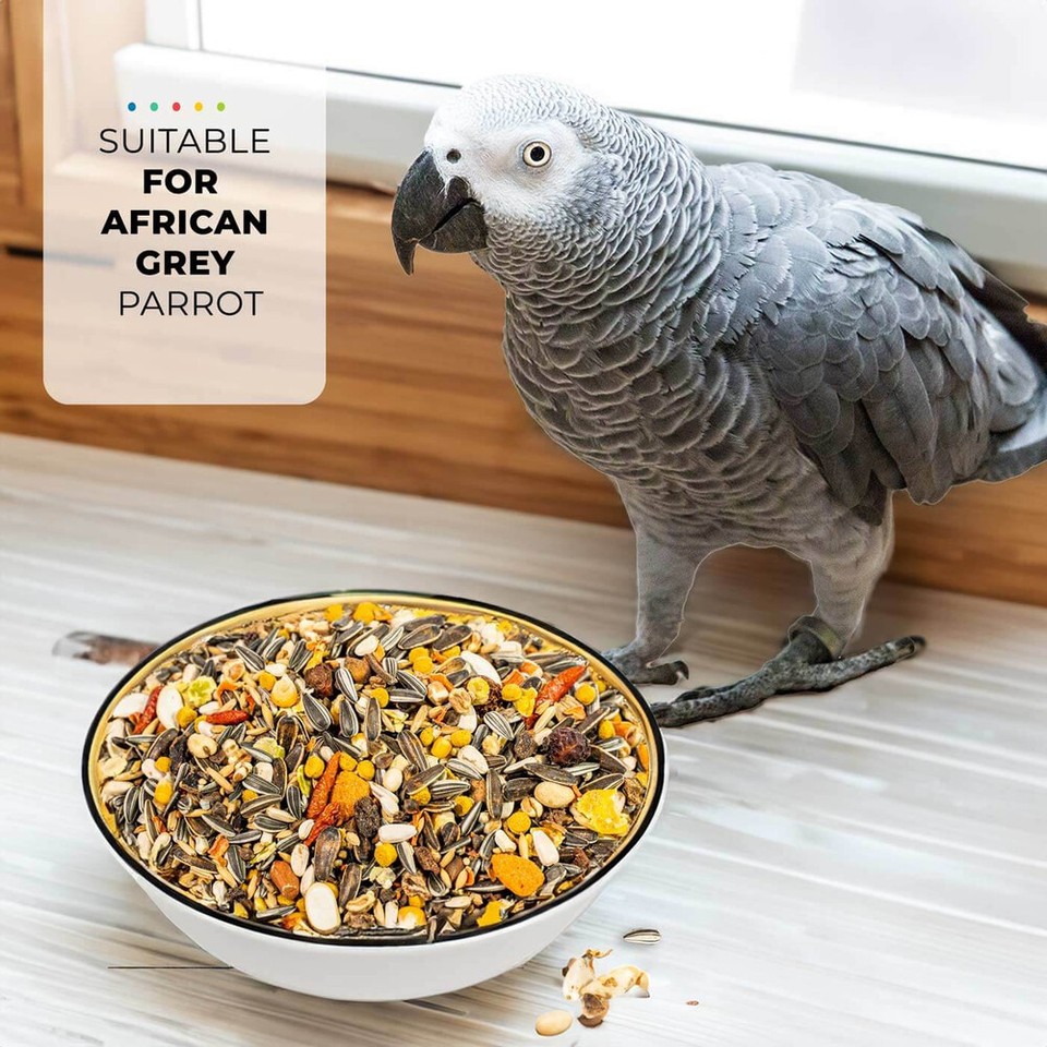 Parrot Essentials African Grey Parrot Food Premium Seed Mix for Pet ...