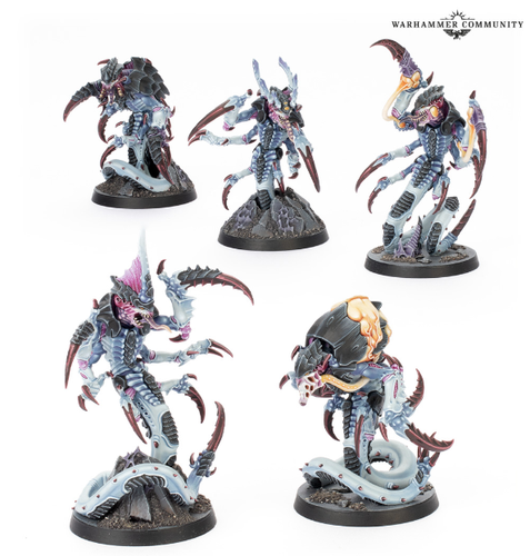 Raveners Killteam Typhon with Datacards & Tokens - Warhammer 40k | eBay