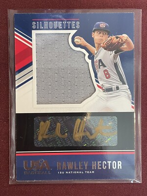 2018 Stars and Stripes 15U Team Silhouettes Rawley Hector Auto Patch ...