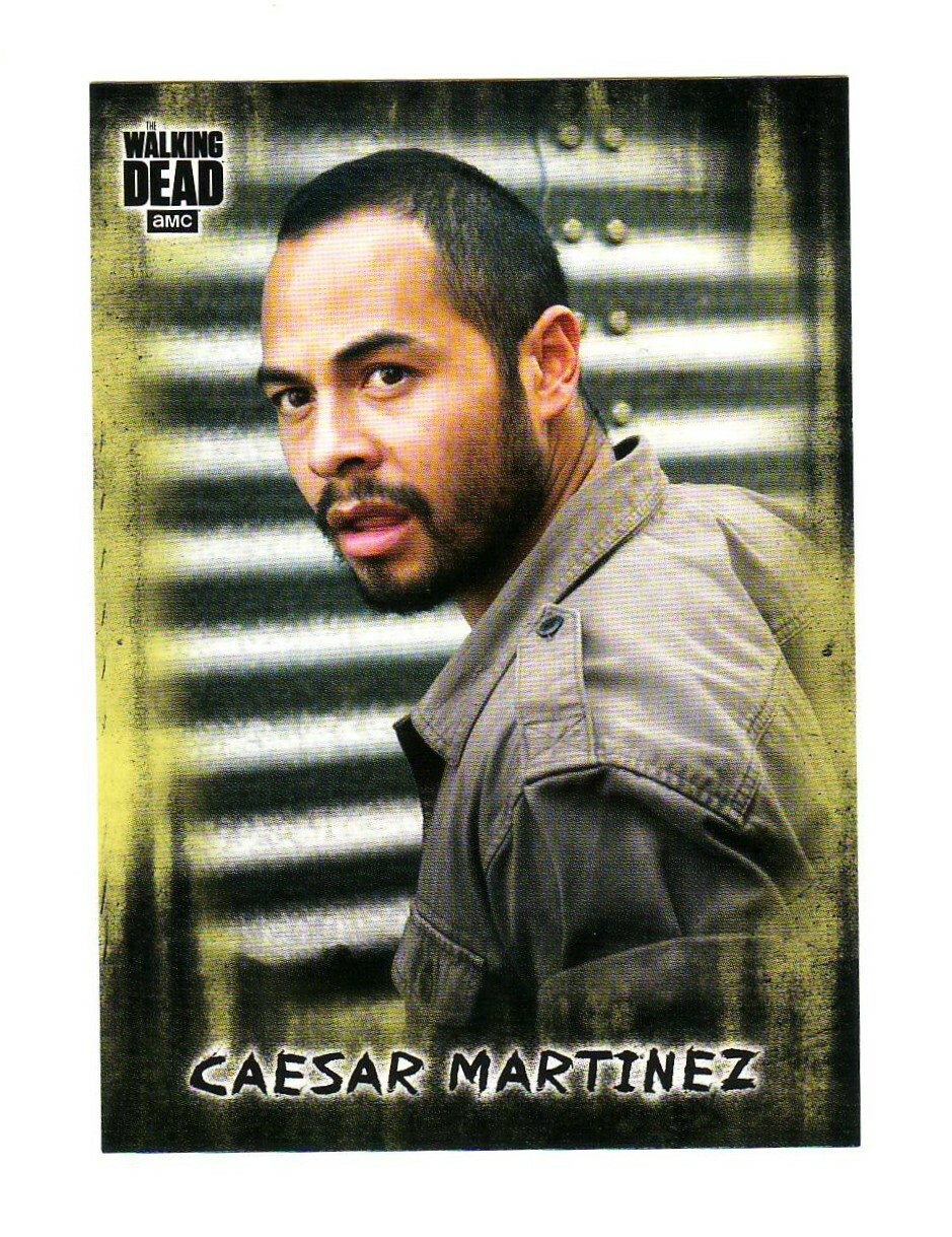WALKING DEAD HUNTERS AND THE HUNTED BASE CARD 41 CAESAR MARTINEZ | eBay
