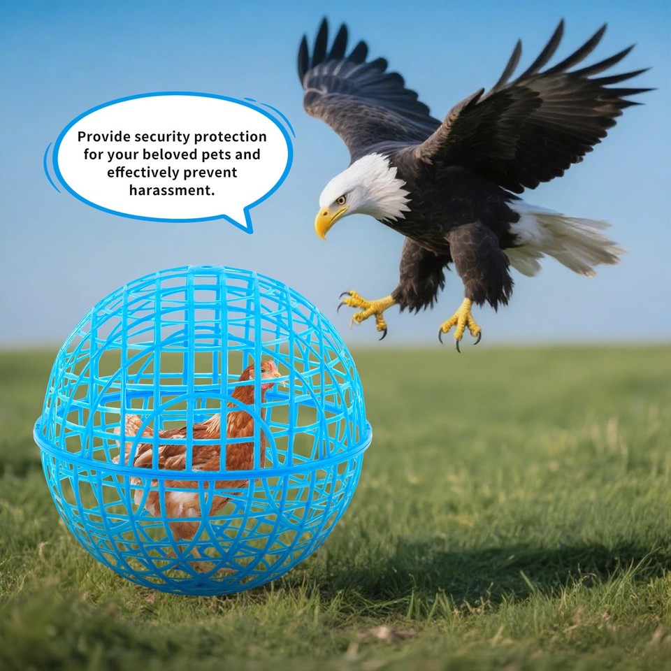 3 Pcs Chicken Orb Balls Cage, Poultry Coop, Animal Rolling Globe ...