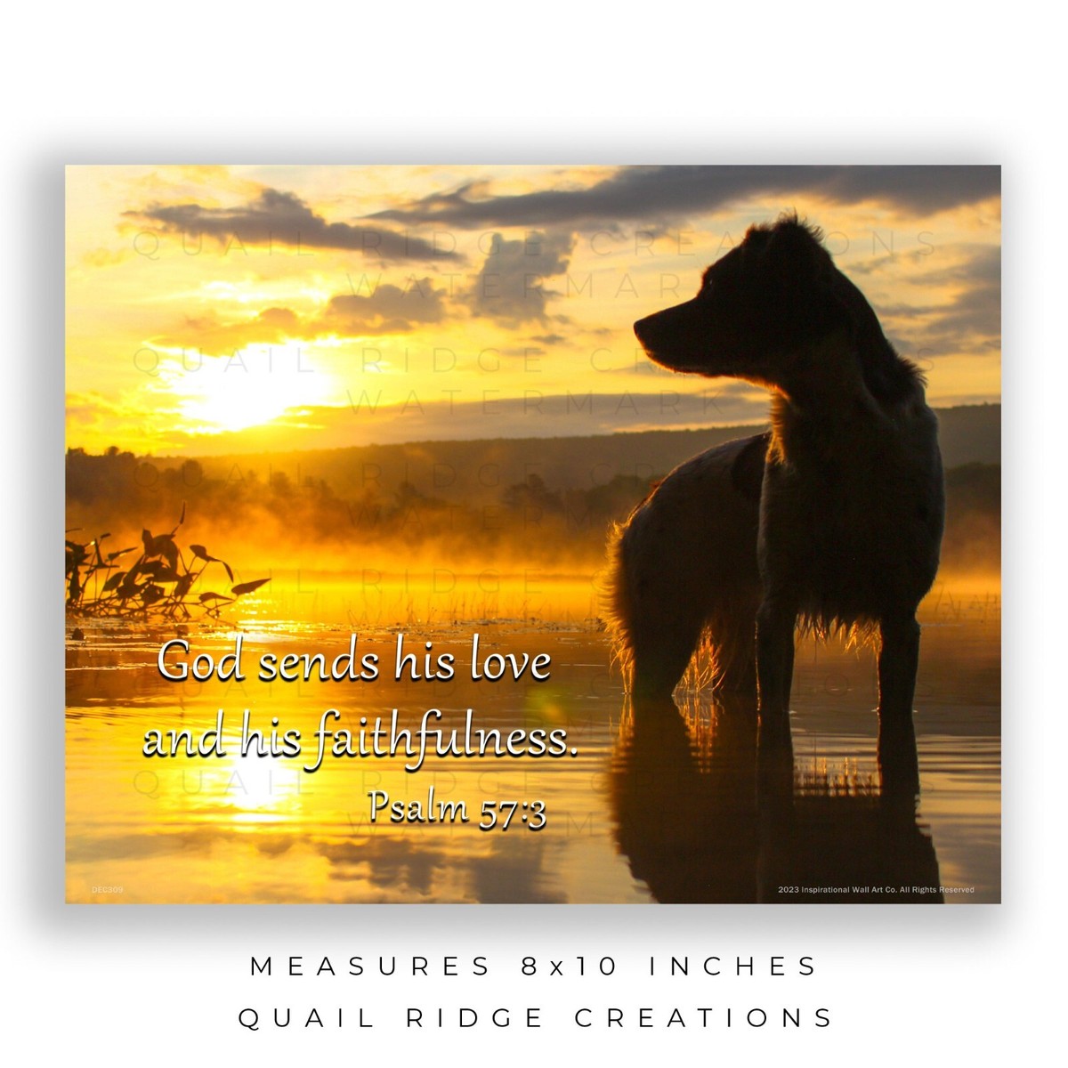 Animal Bible Quotes Be Unique Bible Quote Zebra Zoo Animal Digital