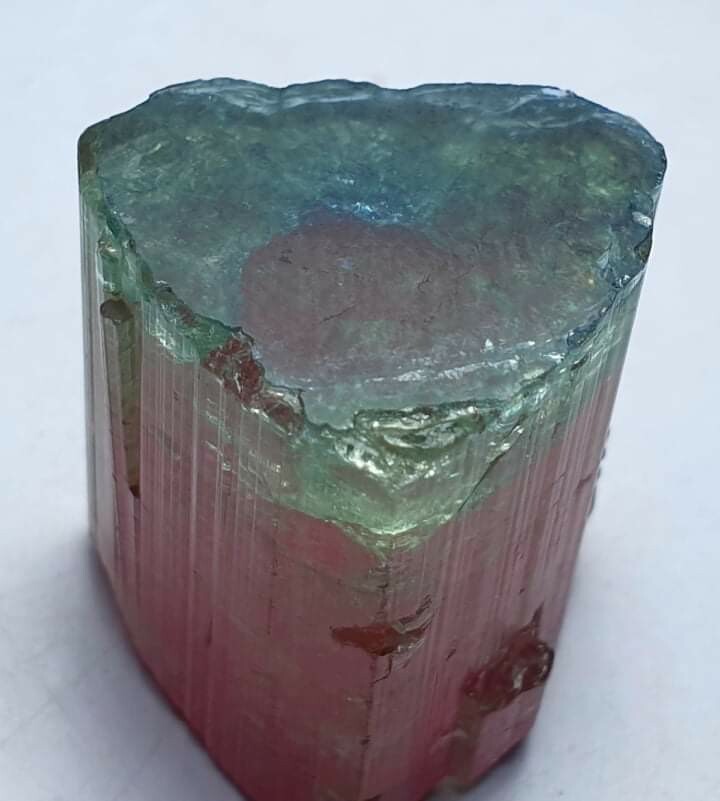 87 cts Bicolor Aesthetic ST Watermelon Color Tourmaline Crystal | eBay