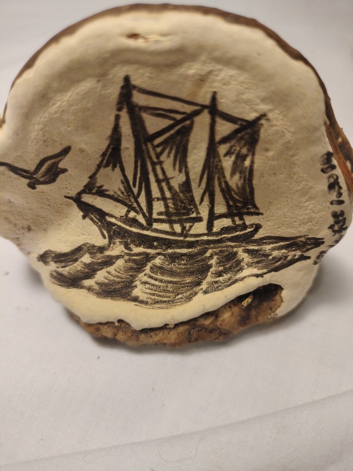 Hand Painted Fungus Tree Conk Folk Art Ship At Sea Signed And Dated | eBay