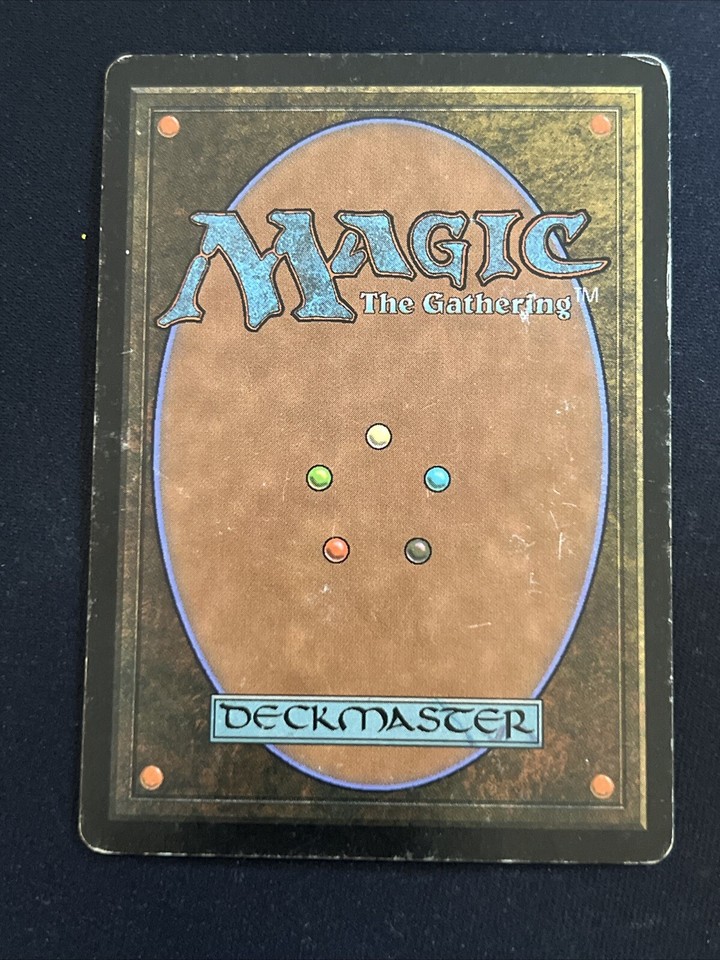 1x Foil Tainted Wood (143) Torment HP MTG Magic the Gathering x1 MKE | eBay