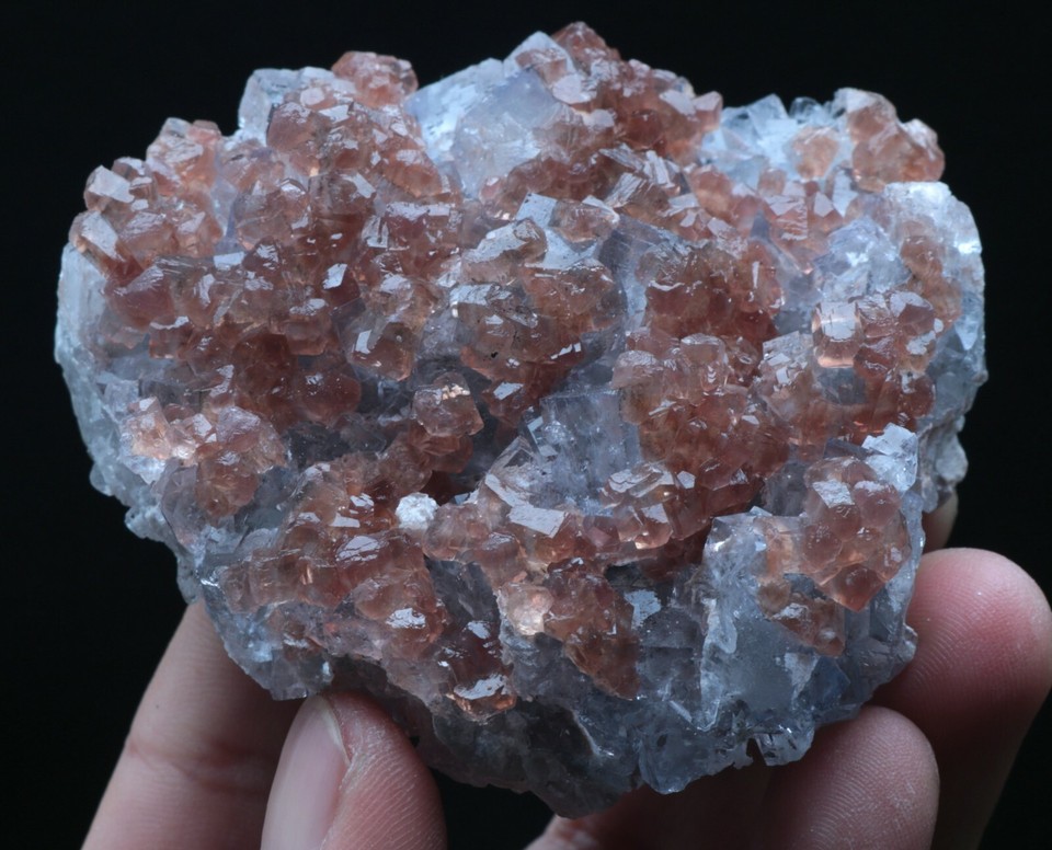 208g Rare Transparent Blue Cube Fluorite Symbiosis Calcite Mineral ...