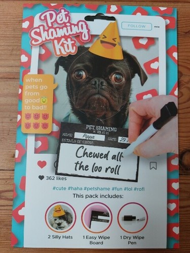 Pet Shaming Kit Novelty Fun Gift - 2 Silly Hats, Wipe Board & Dry Wipe ...