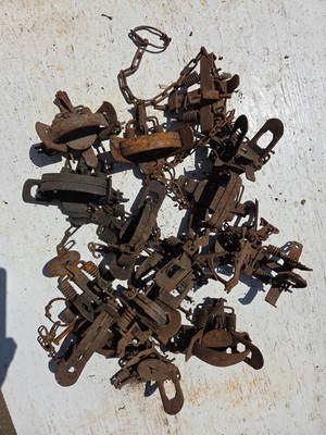 Parts Repair Lot Victor Montgomery 1 1/2 Coil Spring Traps Trapping ...