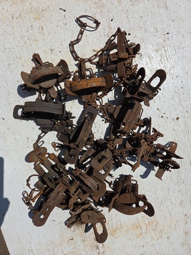 Parts Repair Lot Victor Montgomery 1 1/2 Coil Spring Traps Trapping ...
