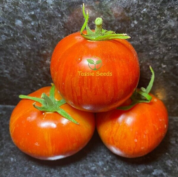 "Red Boar" TOMATO - 25 Seeds Heirloom Organic Rare Tomatoes Tassie ...