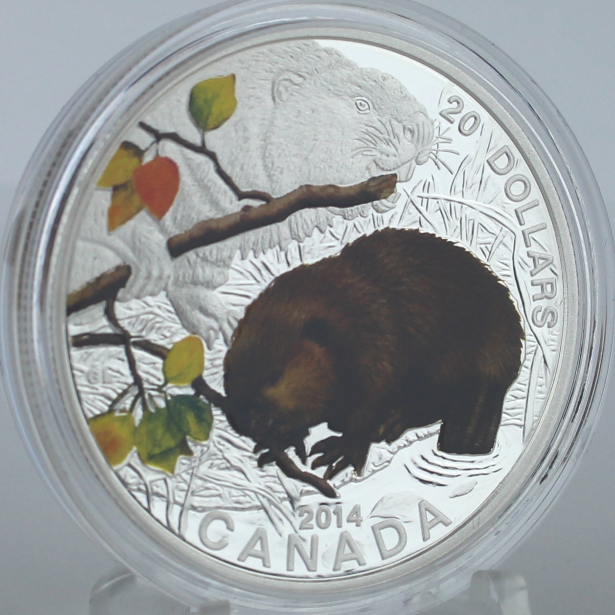 2014 $20 Baby Animals Beaver 1 oz Pure Silver Color Proof 1st Coin in ...