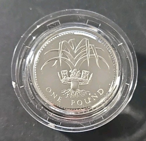UK SILVER PROOF ONE POUND COIN - WELSH VERSION - ROYAL MINT - EXTREMELY ...