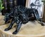 FAUX STONE HADES HELL HOUND CERBERUS KERBEROS STATUE FIGURINE 7.75"L | eBay