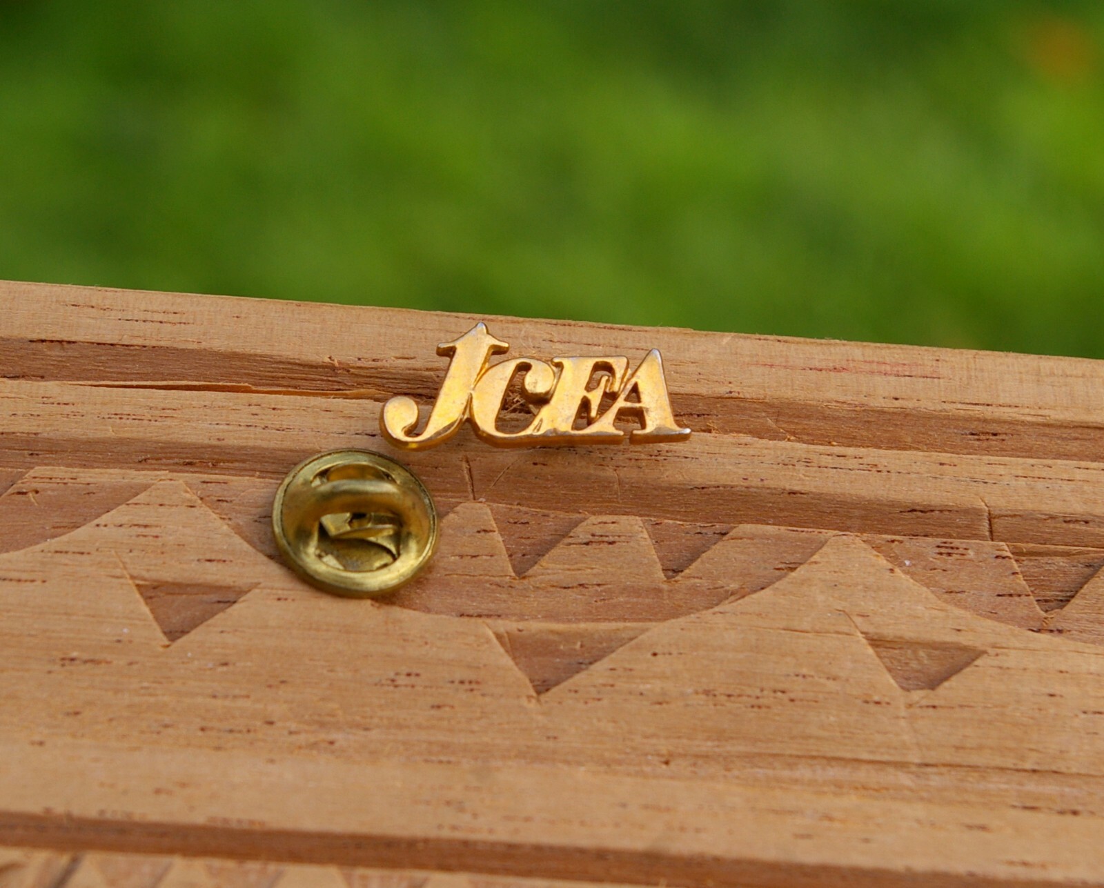 TCEA Texas Computer Education Association 7/8" Metal & Enamel Lapel Pin ...